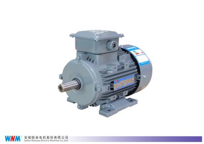 China IE3 300HP Three Phase Electric Motor 380V 50Hz for Crushers Cast Iron Frame for sale