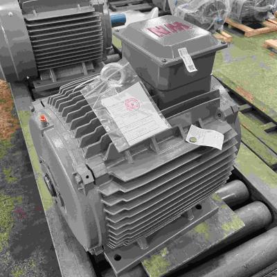 China Stainless Steel IE3 3 Phase Motor 380V IP55 / 56 / 65 for sale