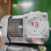 China Compact Design Three Phase Electrical Motor With CE For New Energy Car for sale