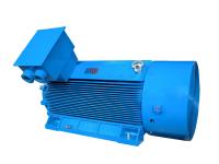 China IE3 Medium Voltage Induction Motor Low Speed ROHS Cast Iron for sale
