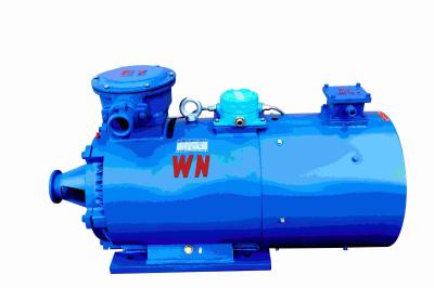 China Medium Voltage 3 Phase Electric Motor 185-8000kW IE3 High Efficiency Fixed Speed for sale