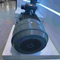 China IE3 Medium Voltage Induction Motor Low Speed ROHS Cast Iron for sale