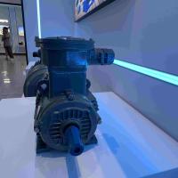 China Carbon Steel Medium Voltage Induction Motor Three Phase 6kV 10kV 185-8000kW for sale
