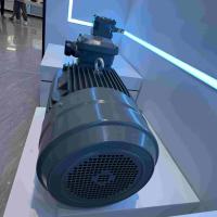 China Carbon Steel Medium Voltage Induction Motor Three Phase 6kV 10kV 185-8000kW for sale