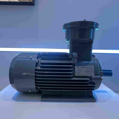 China Steel AC Induction Three Phase Medium Voltage Motor 6kV 10kV 185-8000kW for sale
