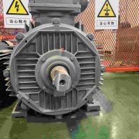 China 8KV High Voltage Customized Cast Iron Explosion Proof Electric Motors for sale