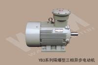 China 8KV High Voltage Customized Cast Iron Explosion Proof Electric Motors for sale