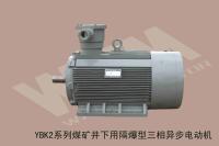 China Dust Proof IP65 Three Phase Explosion Proof Electric Motor 0.18-375kW IE3 IE4 for sale