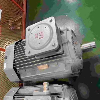 China Stainless Steel Explosion Proof Electric Motor 380V 50Hz IE3 for Food Processing for sale