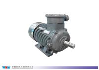China Stainless Steel Explosion Proof Electric Motor 380V 50Hz IE3 for Food Processing for sale