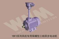 China 50HZ IE3 Explosion Proof Electric Motors High Efficient With CCC for sale