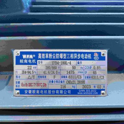 China Three Phase Explosion Proof Electric Motor 0.18-375kW IE3 IE4 Cast Iron Frame 80-355mm for sale