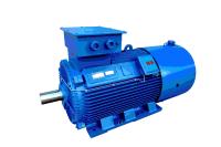 China Cast Iron Three Phase Induction Variable Speed Electric Motor 0.45-100kW CE for sale