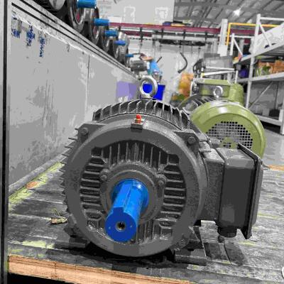 China Cast Iron Three Phase Induction Variable Speed Electric Motor 0.45-100kW CE for sale