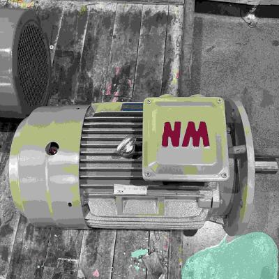 China Quick Stop Variable Speed Electric Motor for Forging Press 0.85/1.1KW 380V for sale