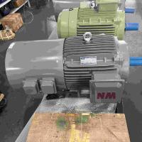 China 3 Phase Voltage Carbon Steel Variable Speed Electric Motor With CE for sale