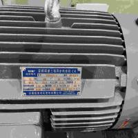 China Explosion Proof Low Voltage Electric Motor 0.18-220kW IE2 380V 50Hz for Hazardous Environments for sale
