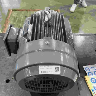 China IE4 Anti Corrosion Electric Motor Low Voltage 380V 0.18-220kW Cast Iron Aluminum Housing for sale