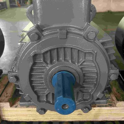 China 415V Permanent Magnet High Efficiency Low Voltage Electric Motors for sale