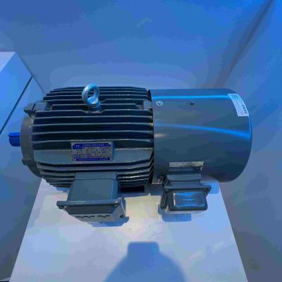 China Water Resistant Dust Proof Permanent Magnet Synchronous Motors With GOST for sale