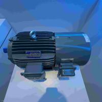 China Three Phase Permanent Magnet Synchronous Motor 0.55-375kW IP55 for Injection Machine for sale