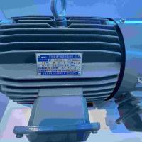 China Waterproof Low Noise PMSM Permanent Magnet Synchronous Motor 0.55-375kW IP55 for sale