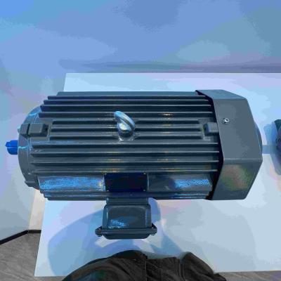 China Permanent Magnet Synchronous Motor 0.55-375kW IP55 for Marine Ship Propulsion for sale