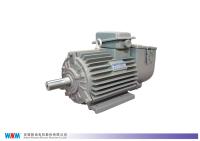 China Super High Efficiency Special Electric Motors Marine Three Phase Induction Motors With CCS for sale