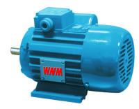 China 0.25kW-10kW Single Phase Electric Motor 110V 220V 60Hz Low Noise High Efficiency for sale
