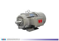 China Premium High Efficiency IE3 IE4 IE5 Three Phase Induction AC Motor 0.12-800kW 380V for sale