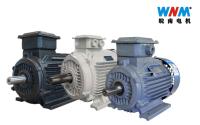 China IE3 Wannan High Efficient Electrical Motors With CE Certificate for sale