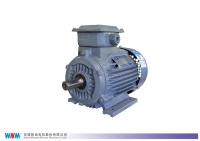 China Cast Iron Three Phase Low Voltage Electric Motor with Fixed Frequency for sale