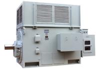 China Medium And High Voltage Induction Motors 6KV Waterproof for sale