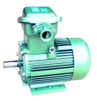 China Chemical Plants Explosion Proof Electric Motors High Efficient for sale