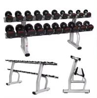 China Commercial Dumbbell Rack Vertical Barbell Holder High Strength Steel Gym Plate Storage 3 Year Warranty for sale