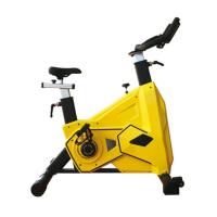 China Commercial Spinning Bike 49kg Steel Frame Belt Chain Drive Home Gym Cardio Exercise Machine for sale