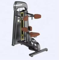 China Best saling and high quality Gym Rotary Torso Exercise Machine For Chest Workout Training for sale