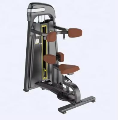 China Best saling and high quality Gym Rotary Torso Exercise Machine For Chest Workout Training for sale