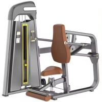 China Full Body Weight Pin Loaded Strength Machine Pearl Delt And Pec Fly for sale