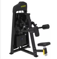China Custom Gym Fitness Shoulder Lateral Raise Machine Strength Workout for sale