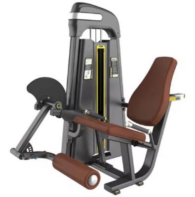 China Multifunctional Pin Loaded Strength Machine For Leg Extension OEM for sale