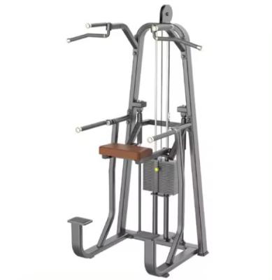 China Commercial Pin Loaded Glute Machine 500 Lbs Capacity 8-11 Gauge Steel Frame for sale