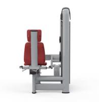 China Commercial Seated Calf Trainer Machine for Leg Strength Training Gym Equipment High Strength Steel 3 Year Warranty for sale