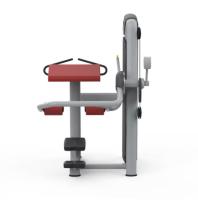 China Professional Strength Training Gym Equipment With High Quality for sale