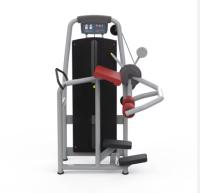 China Professional Strength Training Gym Equipment With High Quality for sale
