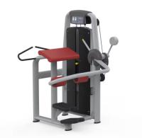 China Professional Strength Training Gym Equipment With High Quality for sale
