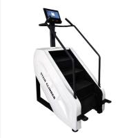 China Commercial Stair Stepper Exercise Machine 200kg Capacity Gravity Drive Fitness Equipment for sale