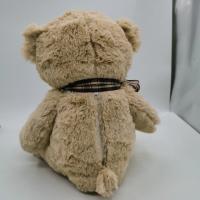 China Lovely Custom good quality recording teddy bear with zipper pocket for sale
