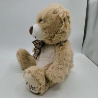 China Lovely Custom good quality recording teddy bear with zipper pocket for sale