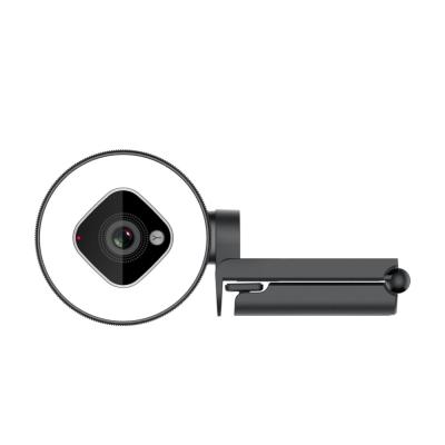 China 1080p 30fps USB Webcam With Ring Light Auto Focus Streaming Camera for sale